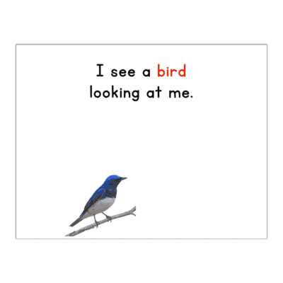 What Do You See? - Tuneful Teaching